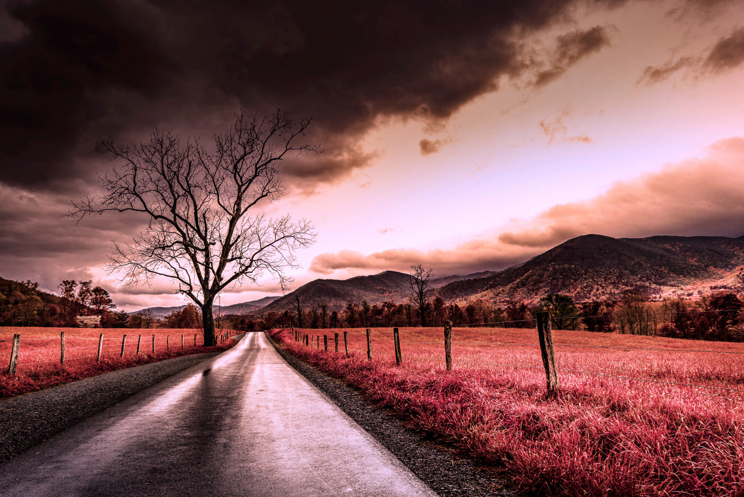 Emulating Kodak Aerochrome Infrared Film with Python Image Processing ...